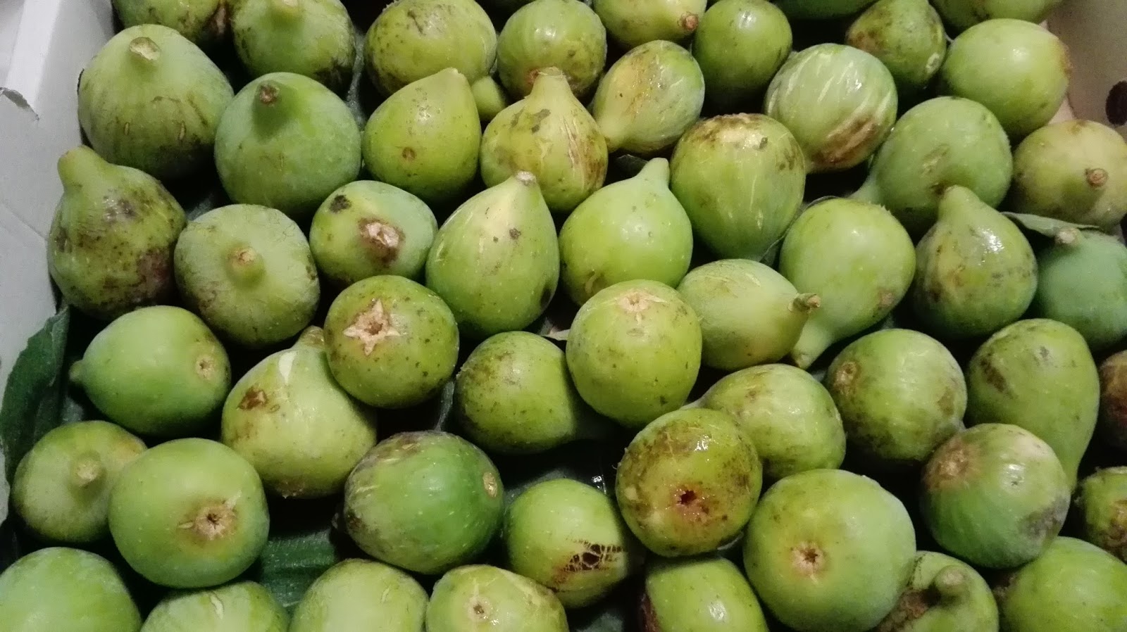 Pratos da Bela: Compota de figo