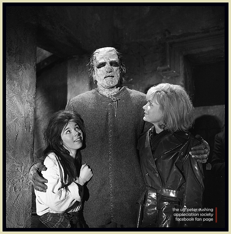 PETERCUSHINGBLOG.BLOGSPOT.COM (PCASUK): HAMMER FILM PRODUCTIONS: THE ...