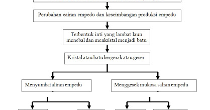 Laporan Pendahuluan Cholelithiasis (Batu Empedu), Download Pdf dan Doc