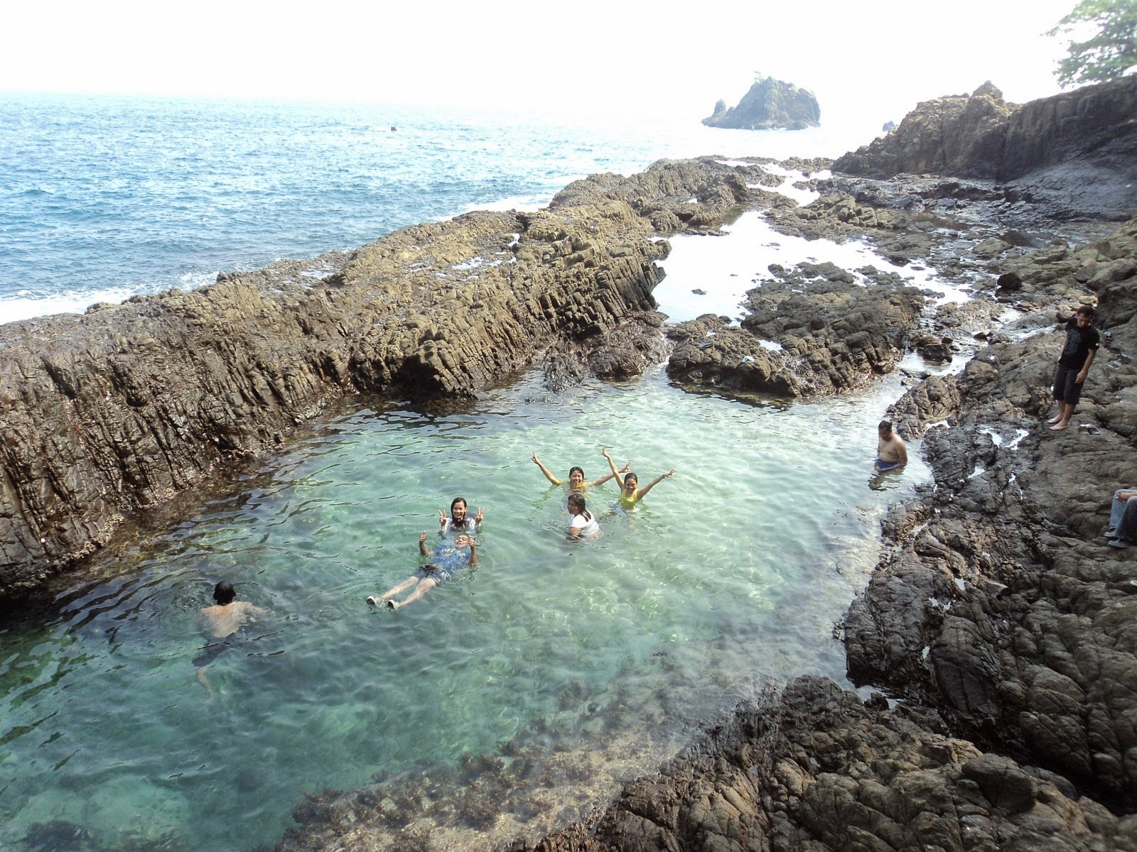 Adventures with Dolphin in Teluk Kiluan