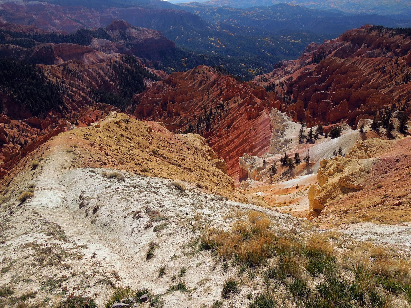 Focusing On Travel : Brake for Cedar Breaks National Monument