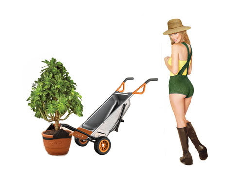 How To Easily and Safely Lift Heavy Plant Pots : Hand Trucks for Heavy ...