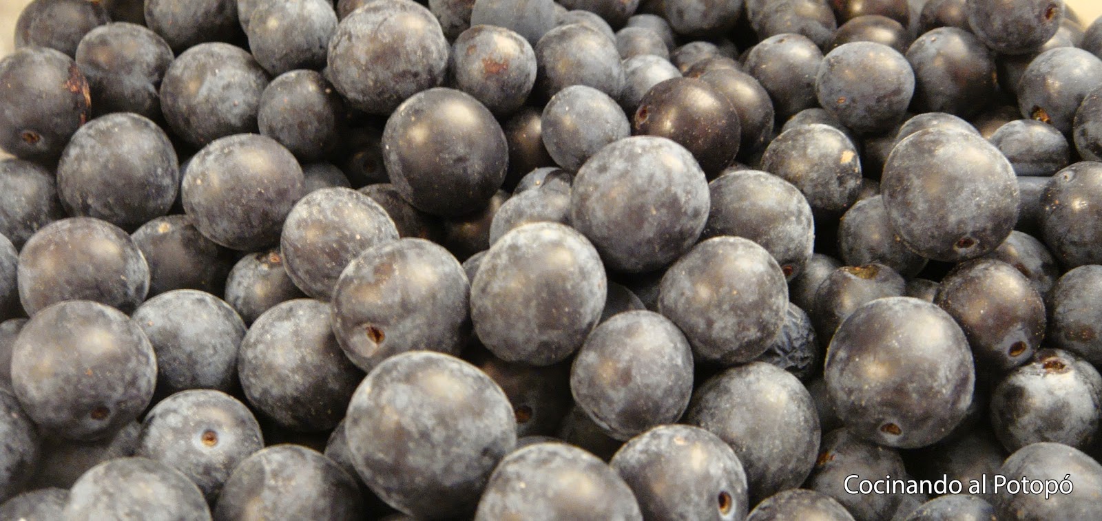 Cocinando al Potopó: EL LICOR DE LAS ENDRINAS, PACHARÁN CASERO