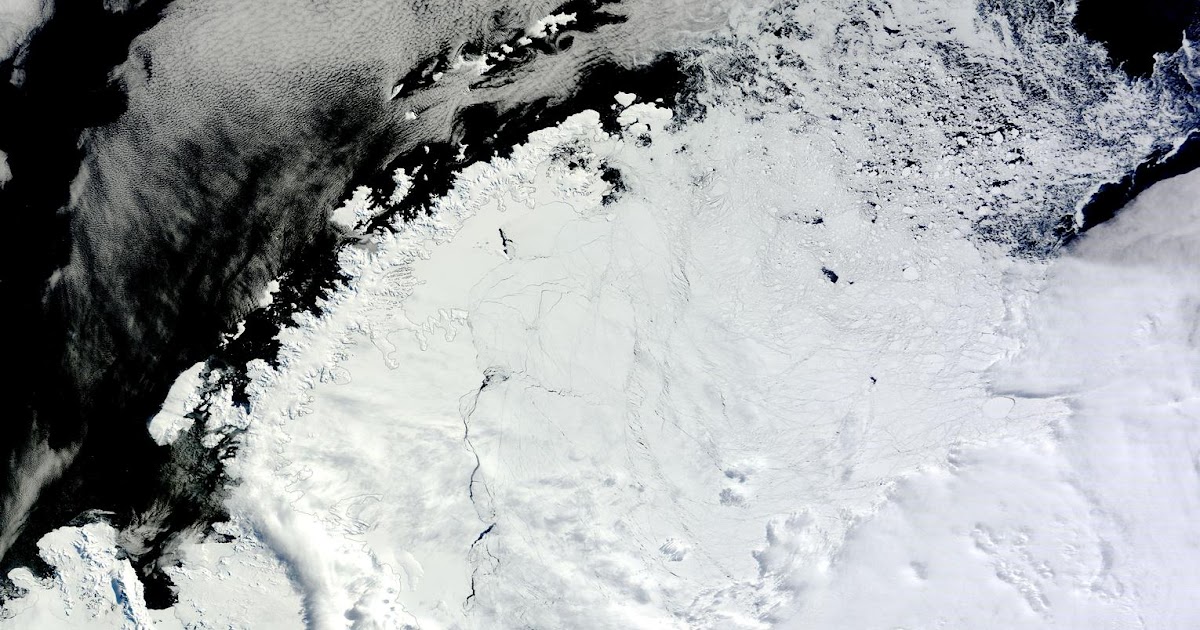 Seemorerocks: A large polynia discovered in Antarctica