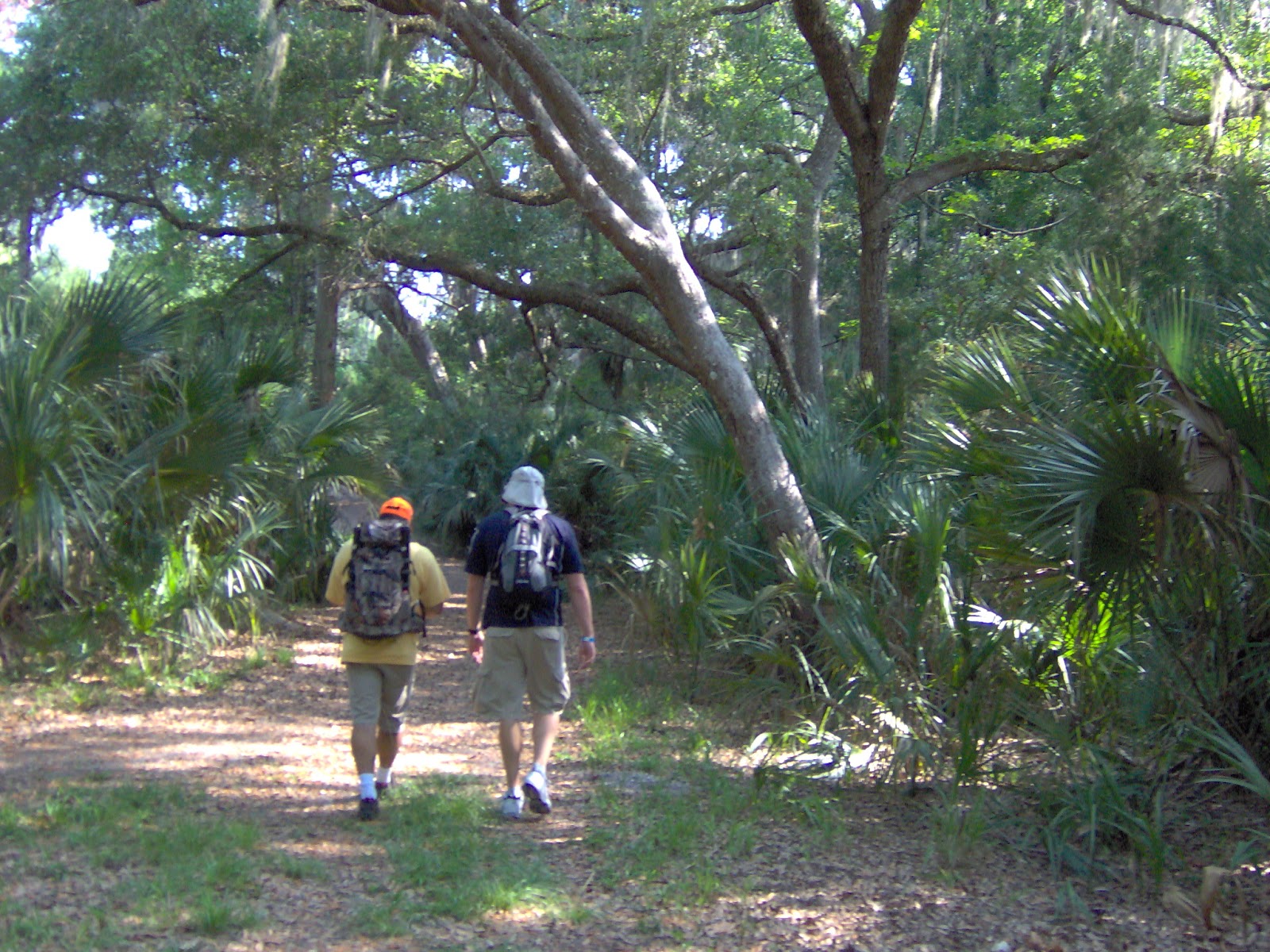 WildWildernessWalkers: Silver Glenn Springs