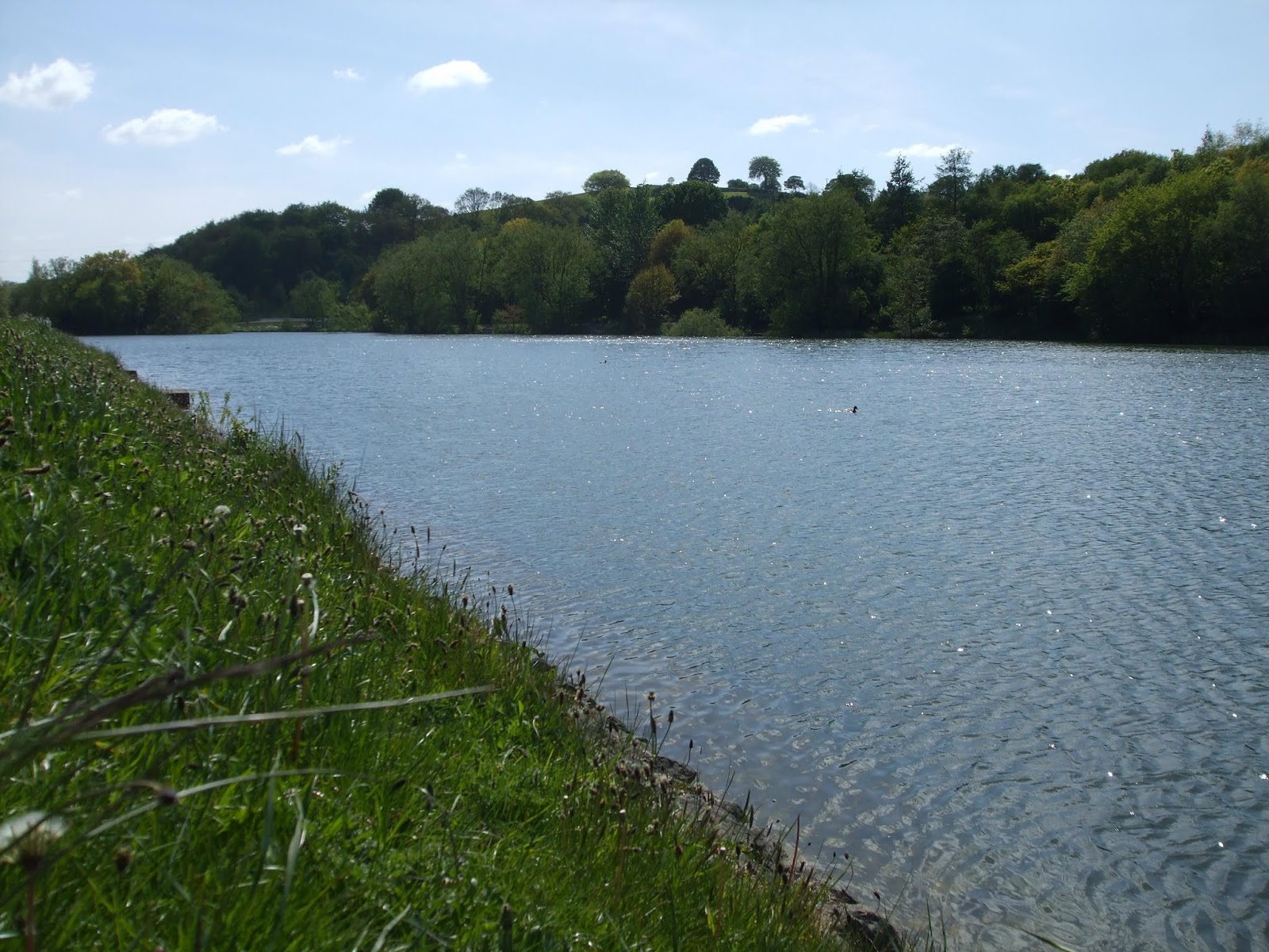 Lymetrent: Bathpool Park