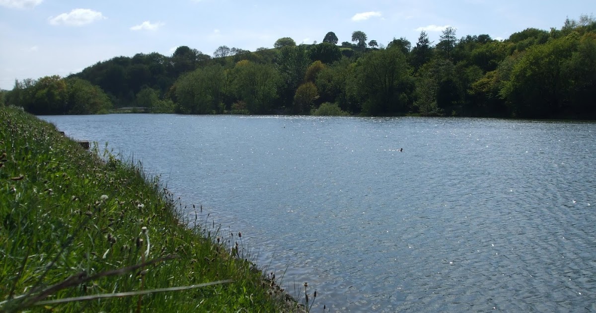 Lymetrent: Bathpool Park