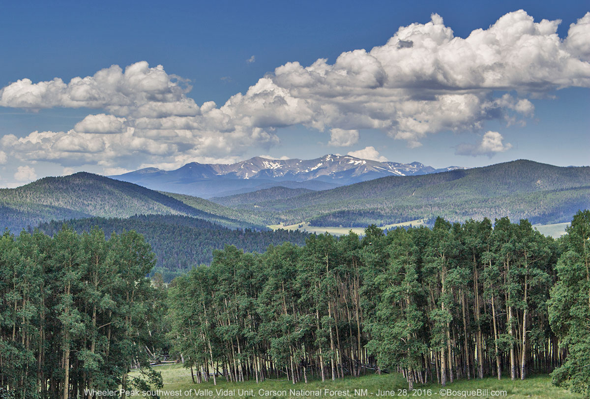 Bosque Bill's Backroads: Northern New Mexico Mountains - June 2016