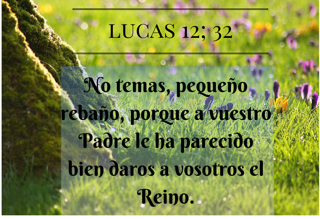 JESÚS PAN YVIDA: LUCAS 12; 32