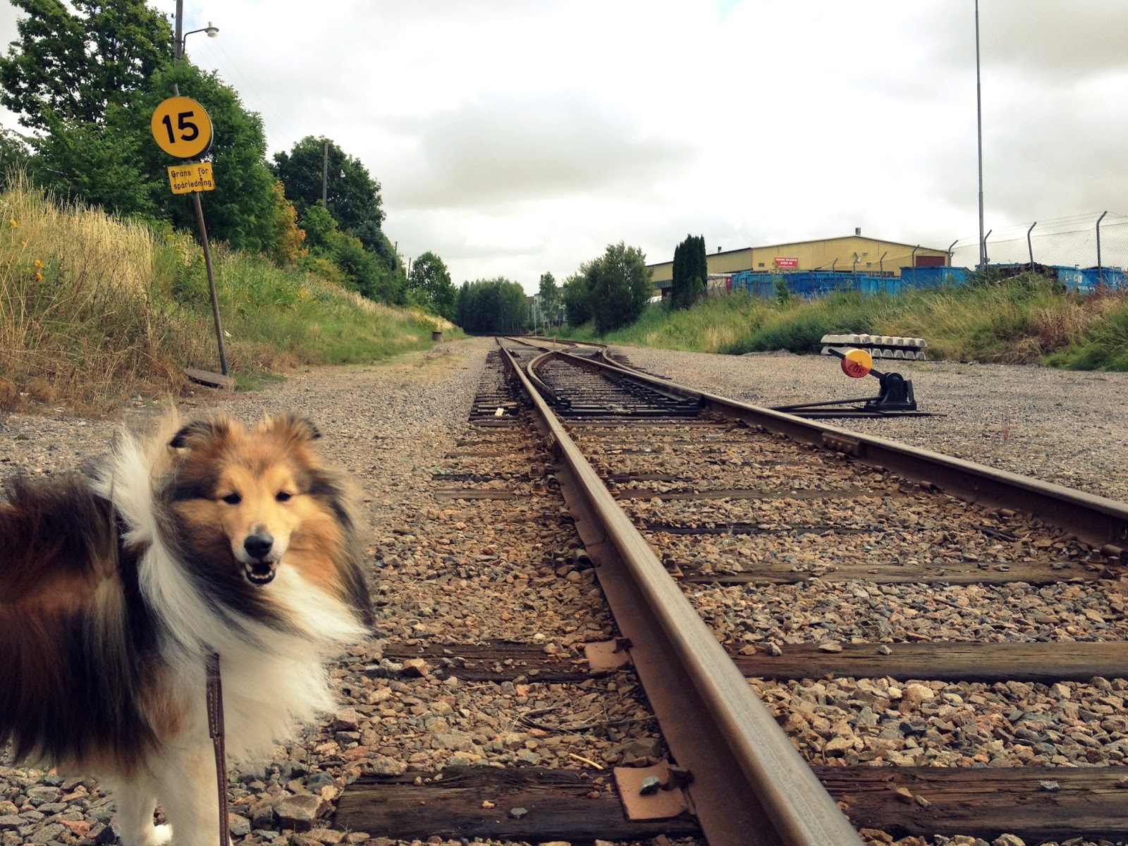 Confess!ons: Mami ♥