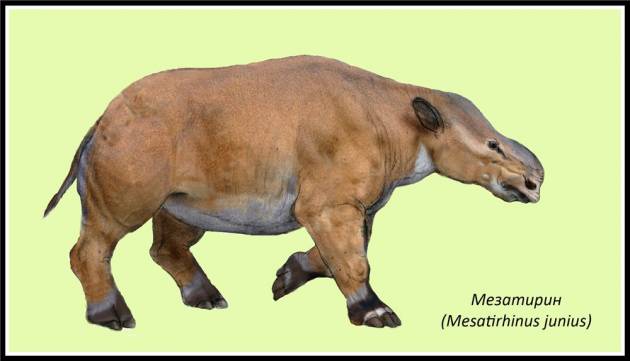 Hronoblog: 55.8-33.9 млн лет назад.Эпоха эоцена.Жизнь 3.