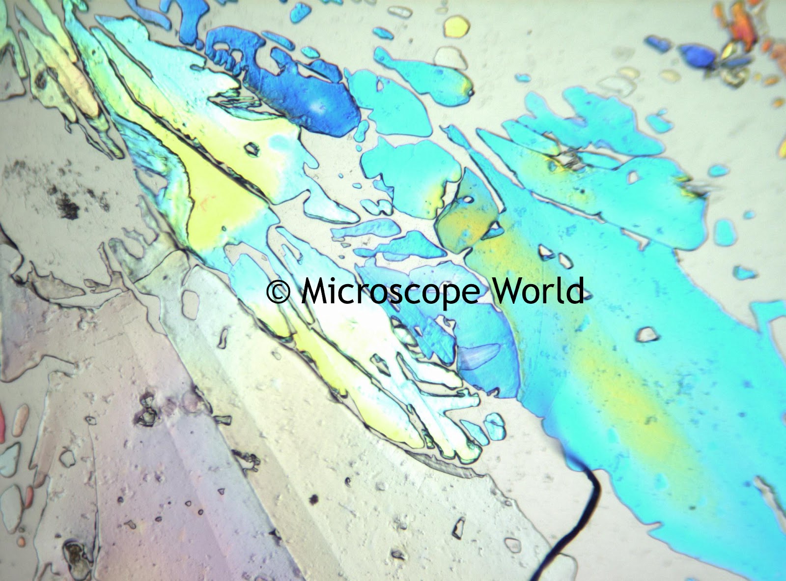 Microscope World Blog: Sugar under a Polarizing Microscope