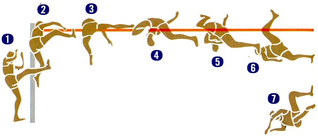 BeeLine: Conventional Wisdom or Conformism?