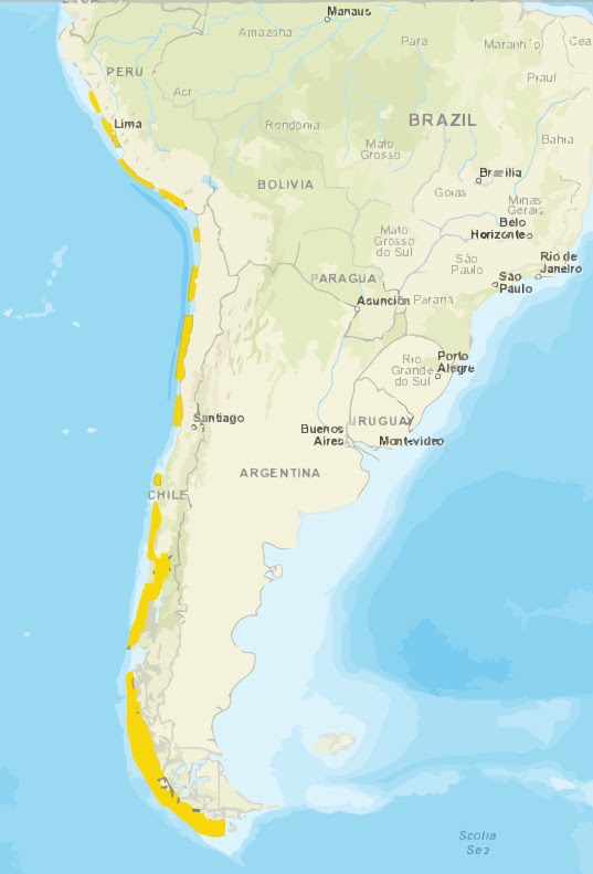 QuestX: Marine Otter - Basics