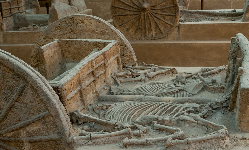 bensozia: Human Sacrifice in Shang Dynasty China