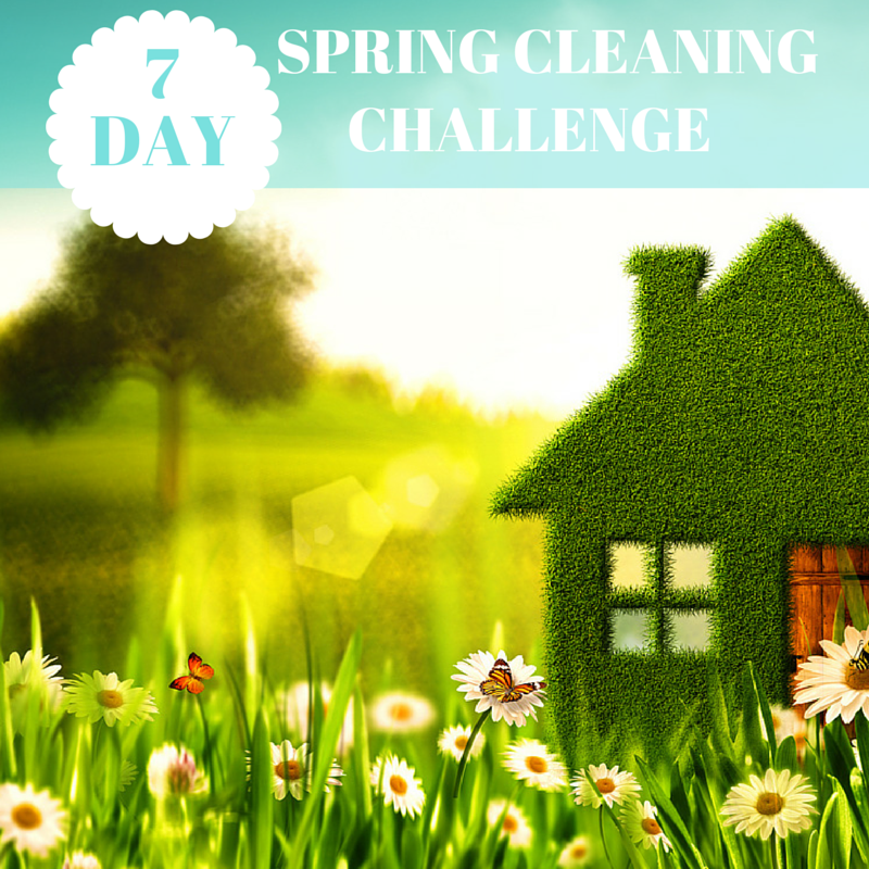 Donna Knows Best: 7 Day Spring Cleaning Challenge