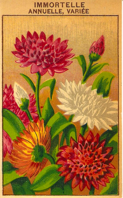 iUber Graphics: French Vintage Flower Labels-free graphic