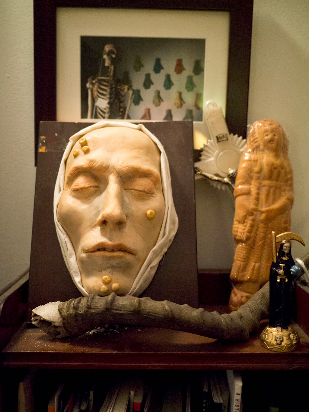 Morbid Anatomy: Support and Become Part of the Morbid Anatomy Museum on ...