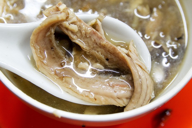 Makanan Ekstrim di Dunia | SosBoks