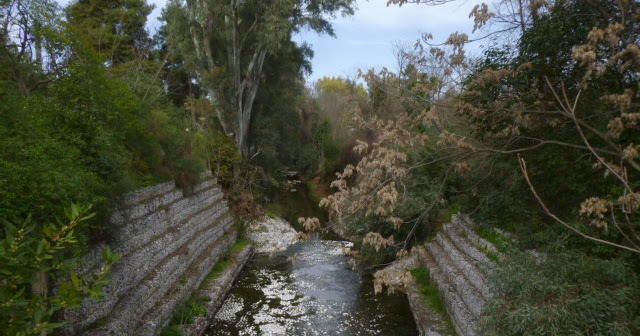 ΠΕΡΙΒΑΛΛΟΝ ΥΓΕΙΑ ΟΙΚΟΛΟΓΙΑ: ΠΟΔΟΝΙΦΤΗΣ- ΦΙΛΟΘΕΗ - ΠΛΑΤΕΙΑ ΔΡΟΣΟΠΟΥΛΟΥ ...