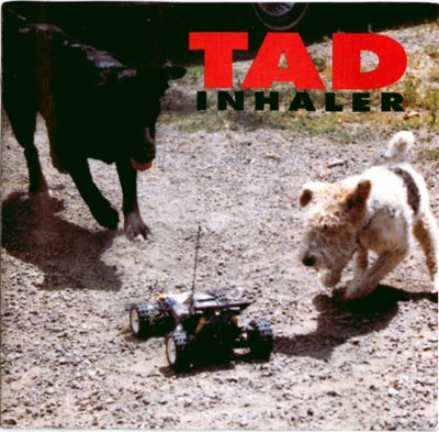 Inyección Grunge: TAD (discografía)