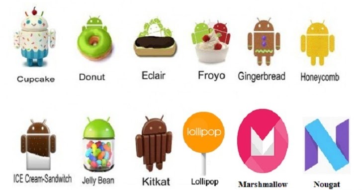 Amazing Random Facts