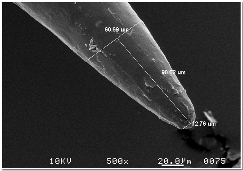 EdgEffects: All the world's a microscope stage