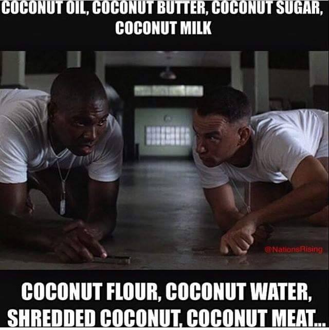 TOP 25 RANDOM PICTURES OF ALL TIME - Daily Funny Stuffs