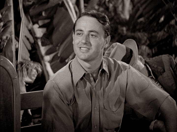 WTFCinema - celebrating all that's weird and wacky in the world of ...