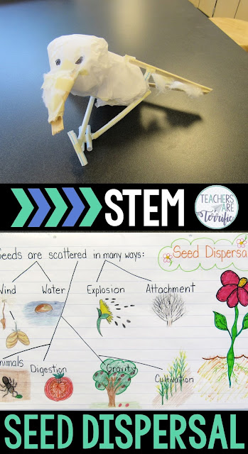 How to Make Seed Dispersal Hands-On - Teachers Are Terrific! A STEM Blog