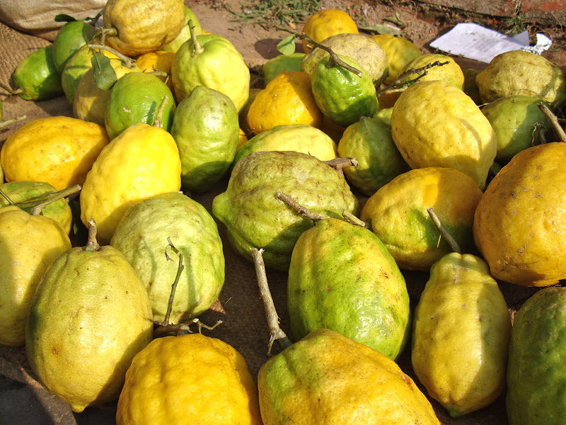 Lists of most common fruits of Nepal (Nepali-English)