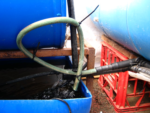 120 things in 20 years: Aquaponics - Loop siphon