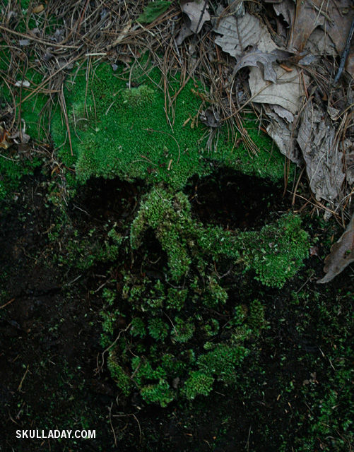 [BONUS] 392. Moss Skulls