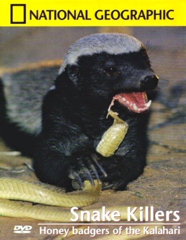Snake Killers - Honey Badgers of The Kalahari - Documentary