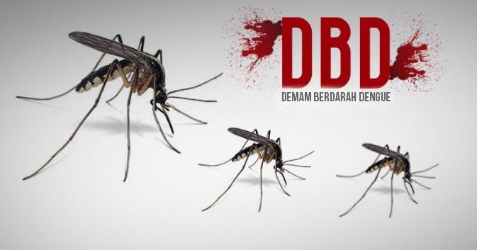 Penyebab Tanda-Tanda Dan Pencegahan Demam Berdarah - SEHAT ALA KAMI