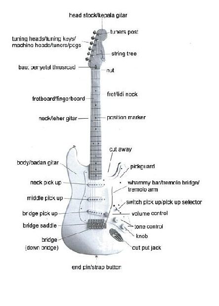 GITAR DAN MUSIK DIGITAL: Anatomi gitar elektrik