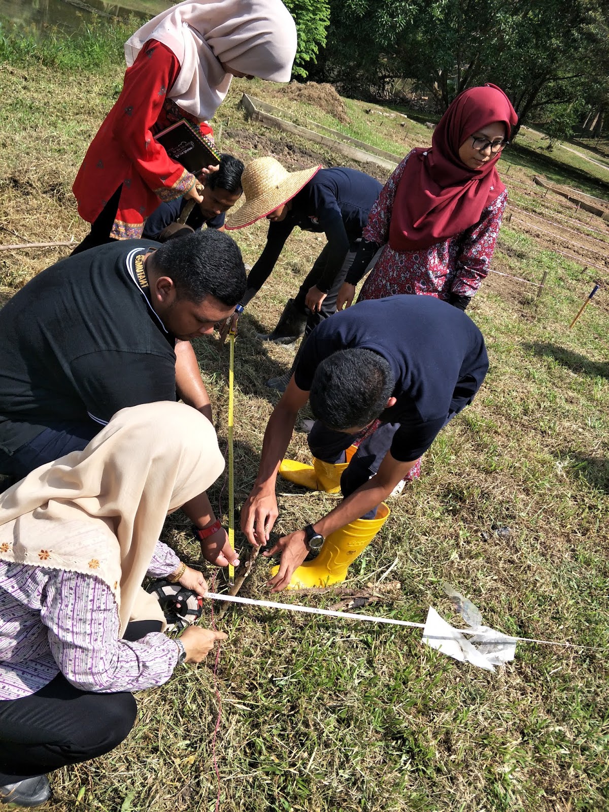 MINGGU 1 : MEMBAIK PULIH TANAH