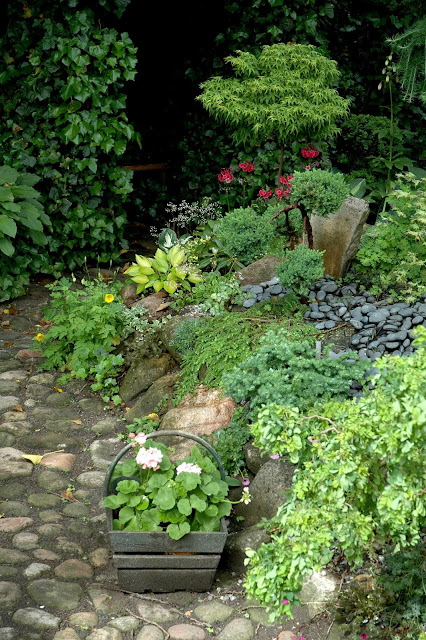 HAVETID: Havens sten og planter.