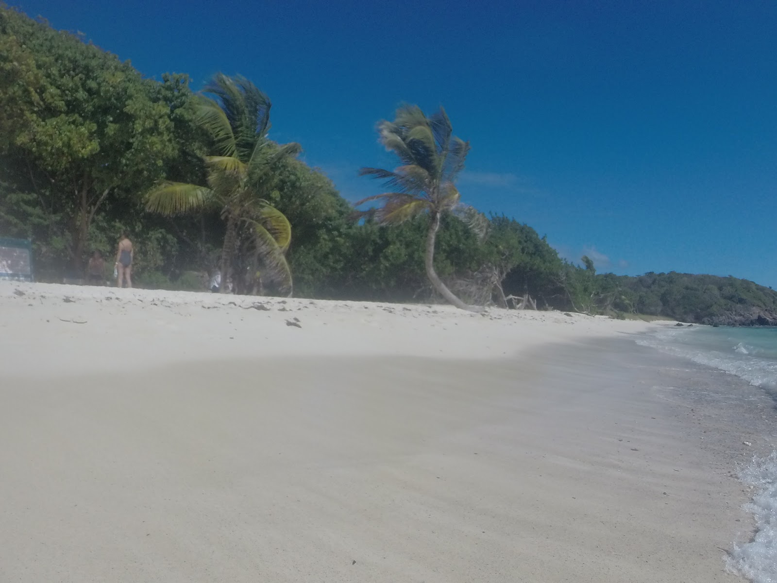 Sailing Rocks!: Tourist time in the Tobago Keys