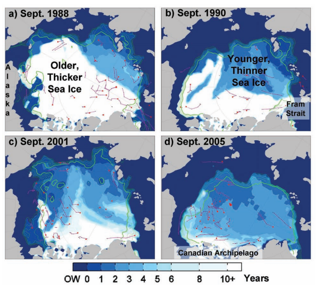 The Artic Tundra: The Arctic Tundra