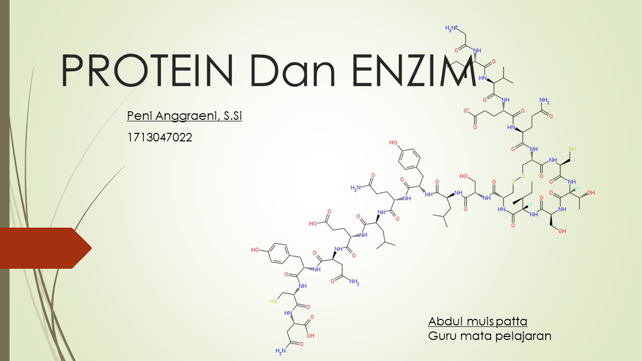 PROTEIN DAN ENZIM