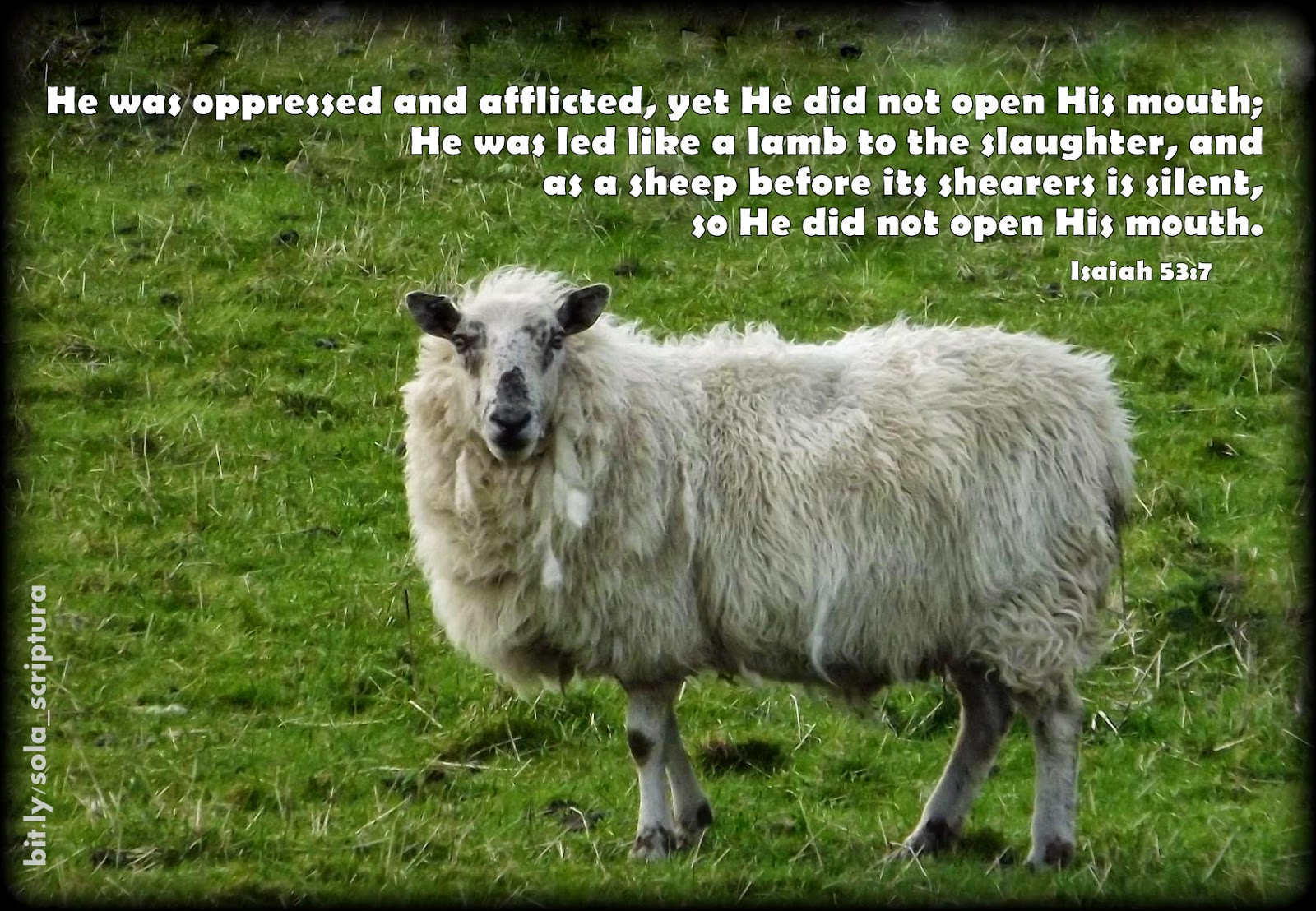 Sola Scriptura: Isaiah 53:7