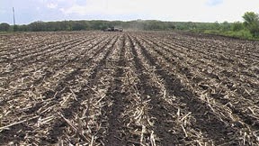 Pengolahan Tanah Konservasi ~ Pertanian dan Peternakanku