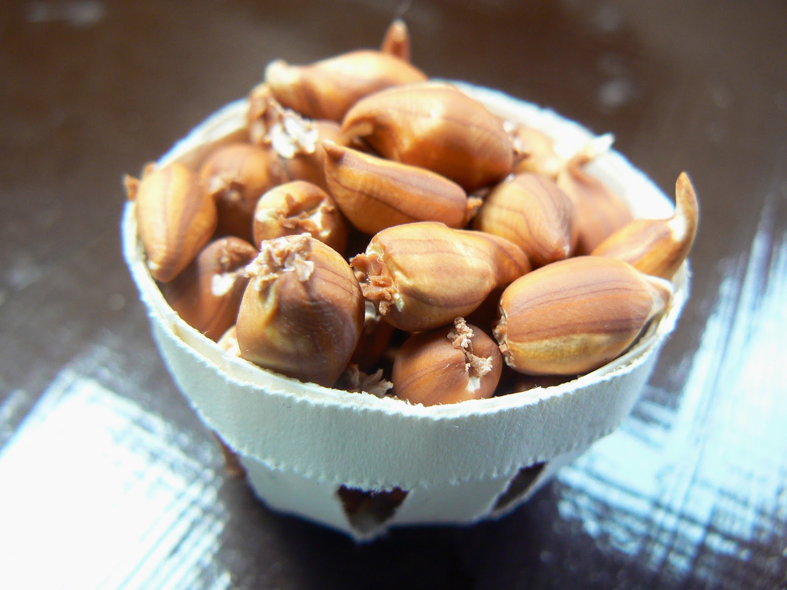 Joanne's Minis: Mini Yellow Onions