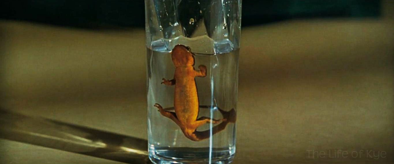 MOVIE REVIEW | Matilda