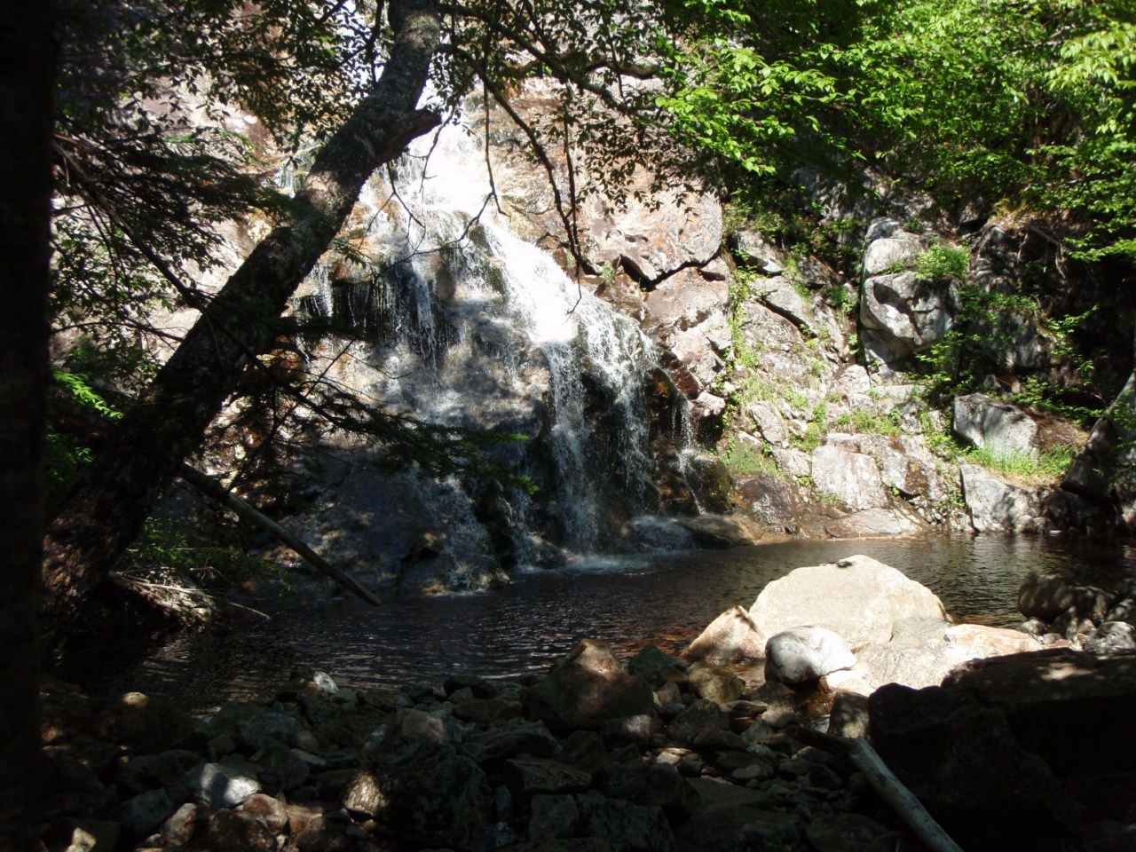 Matt's Hikes: Mount Nancy - June 16, 2012