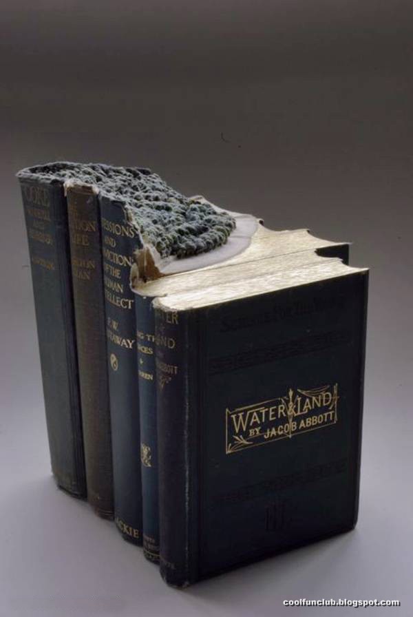 CoolFunClub: Creative Figures Made With Books