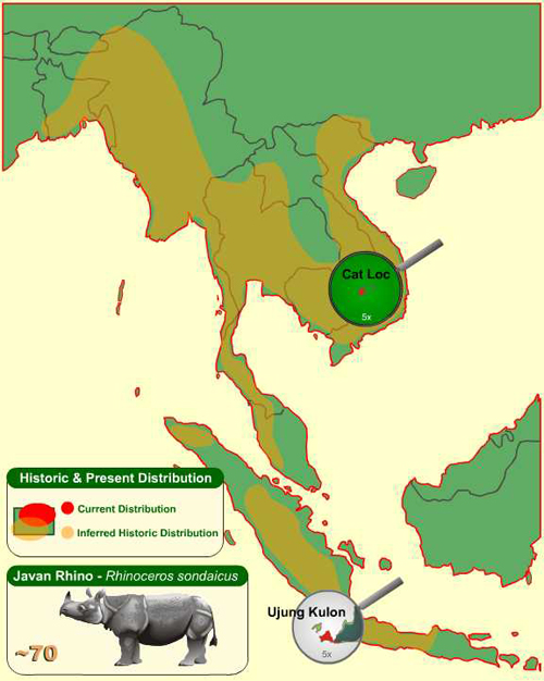 wildlife conservation officer: Species on the edge