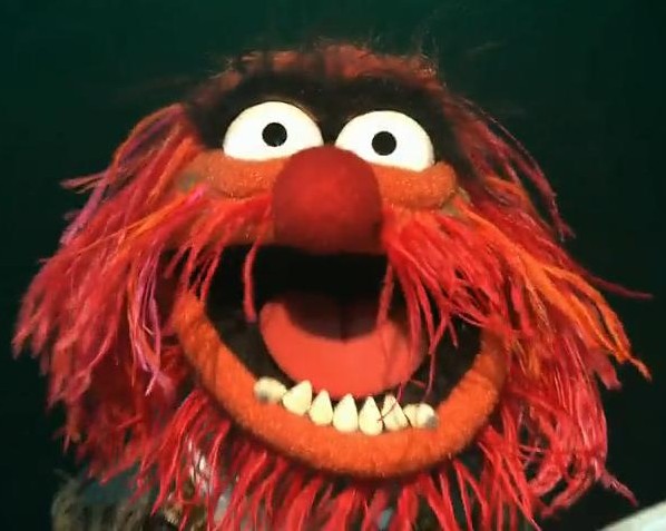 ANIMAL’S FRIENDS AND FAMILY