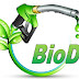 All about Palm Oil: Biodiesel
